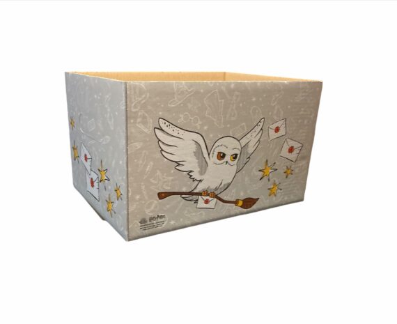 Box Harry Potter | Harry Potter Party Decorations | EventRent
